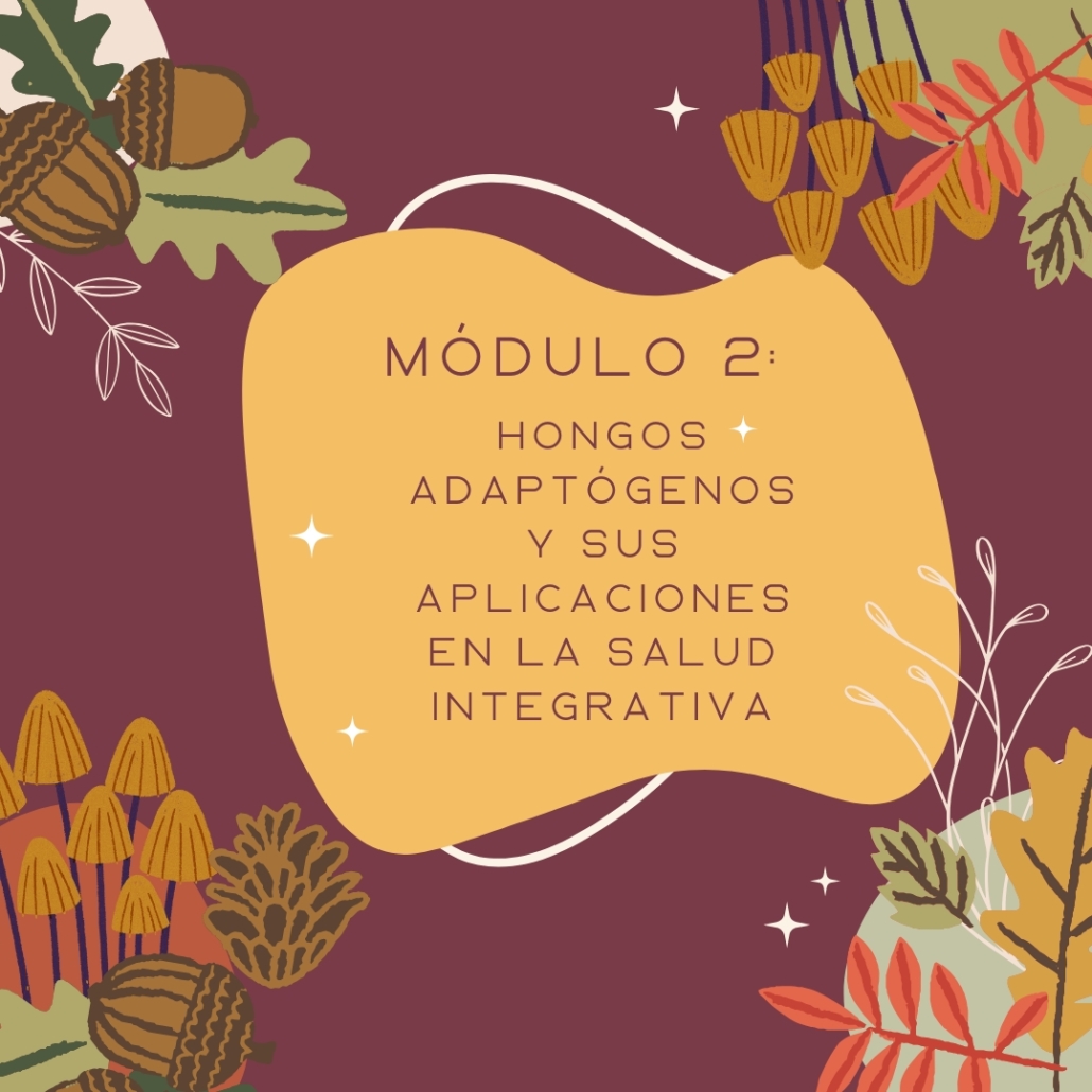 Formación en Hongos Adaptógenos - Red Sináptica